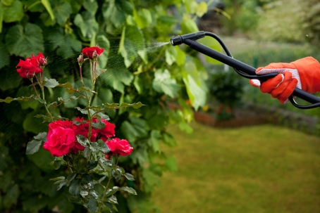 Controlling garden pests store